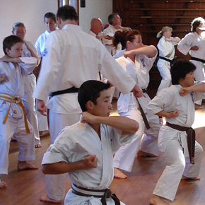 Seido Karate